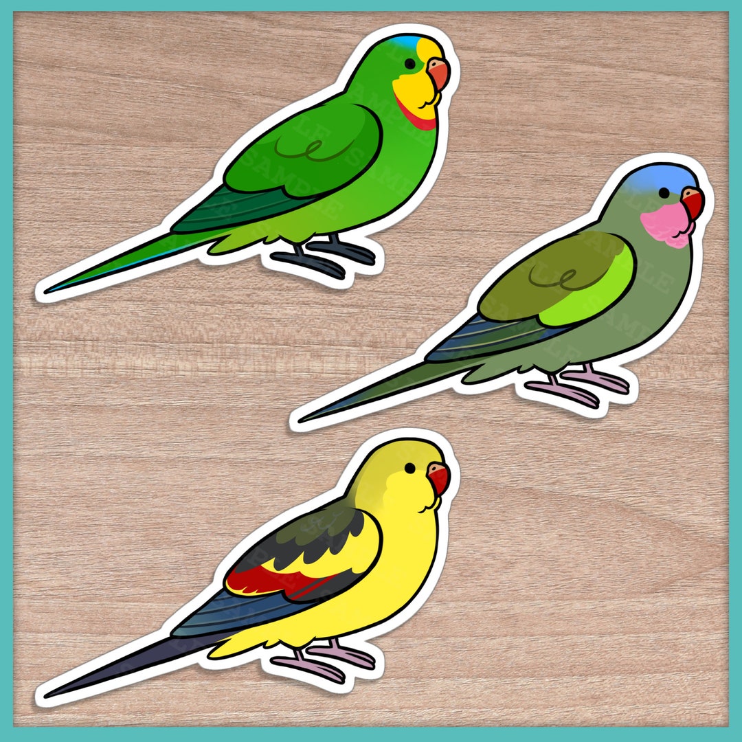 Polytelis Parrot (cuties) Sticker - Etsy