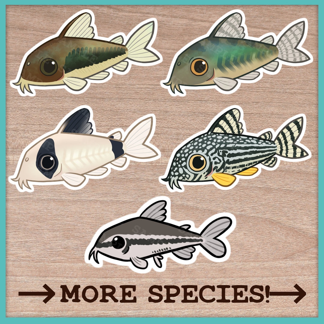 Corydoras Catfish Cuties Stickers - Etsy