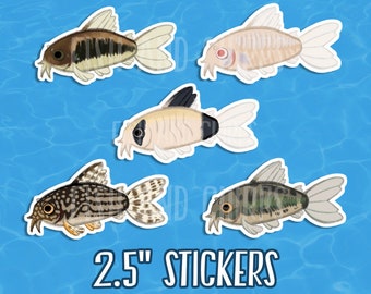 Cory Catfish - Etsy