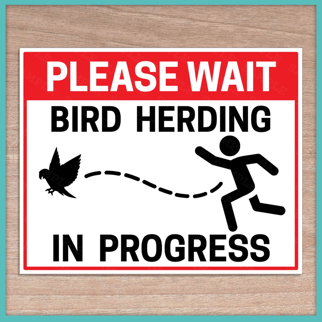 Bird Herding Posterboard Sign - Etsy