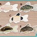 Corydoras Catfish Stickers - Etsy