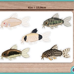 Corydoras Catfish Stickers - Etsy