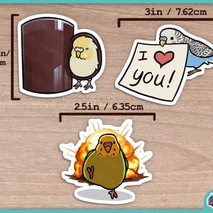 Budgie Meme Stickers - Etsy