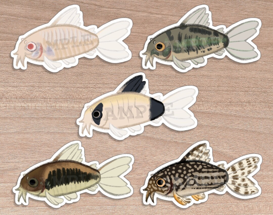 Corydoras Catfish Stickers - Etsy
