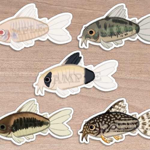 Corydoras Catfish Stickers - Etsy