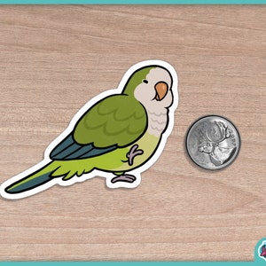 Quaker Parrot (cuties) Stickers - Etsy