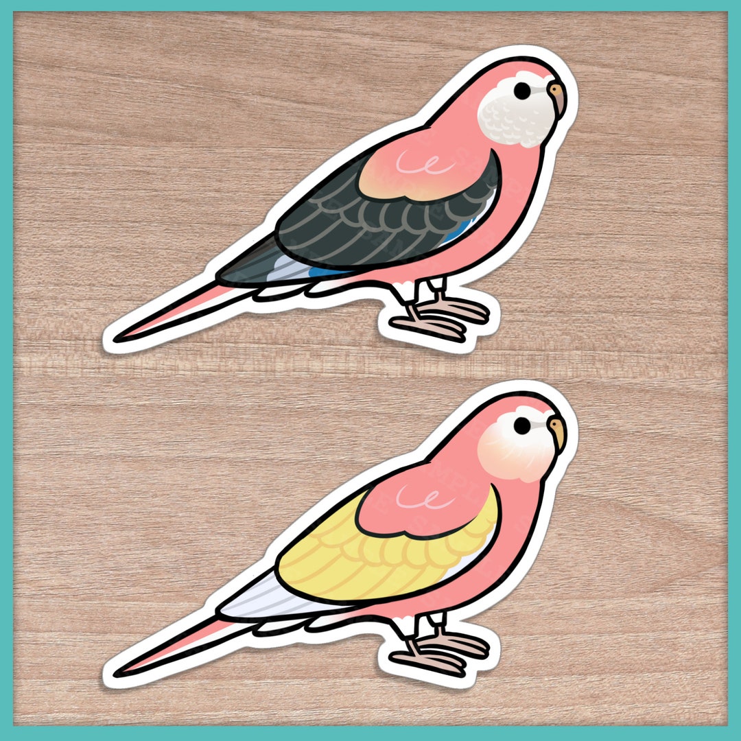 Bourke's Parakeet (cuties) Stickers - Etsy