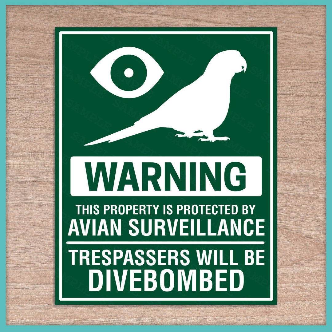 Avian Surveillance Posterboard Sign - Etsy