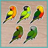 Budgie (budgerigar) Stickers - Etsy