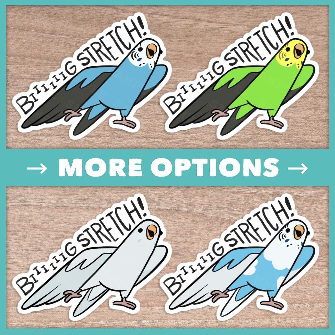 Big Stretch Budgie Stickers - Etsy