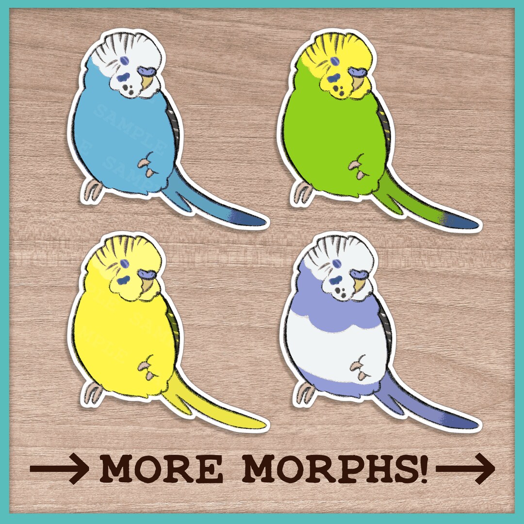 Cozy Budgie Stickers - Etsy