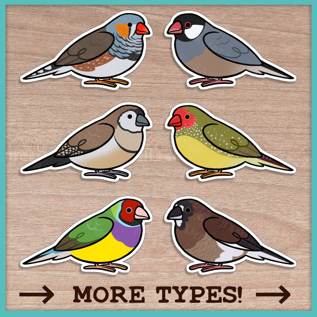 Finch (cuties) Stickers - Etsy