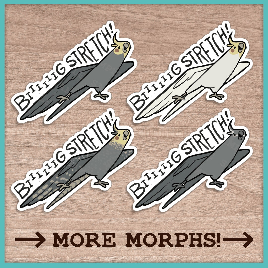 Big Stretch Cockatiel Stickers - Etsy