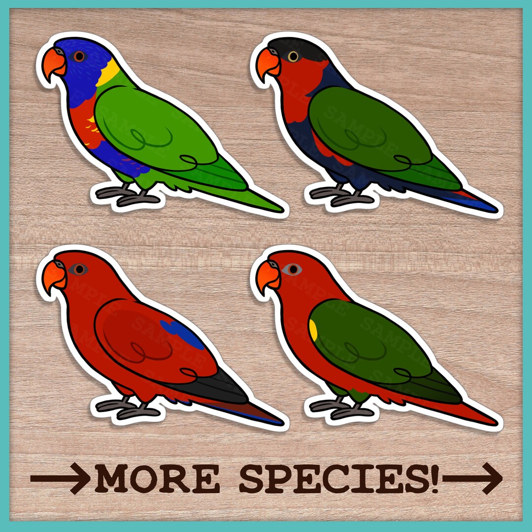 Lory/lorikeet (cuties) Sticker - Etsy