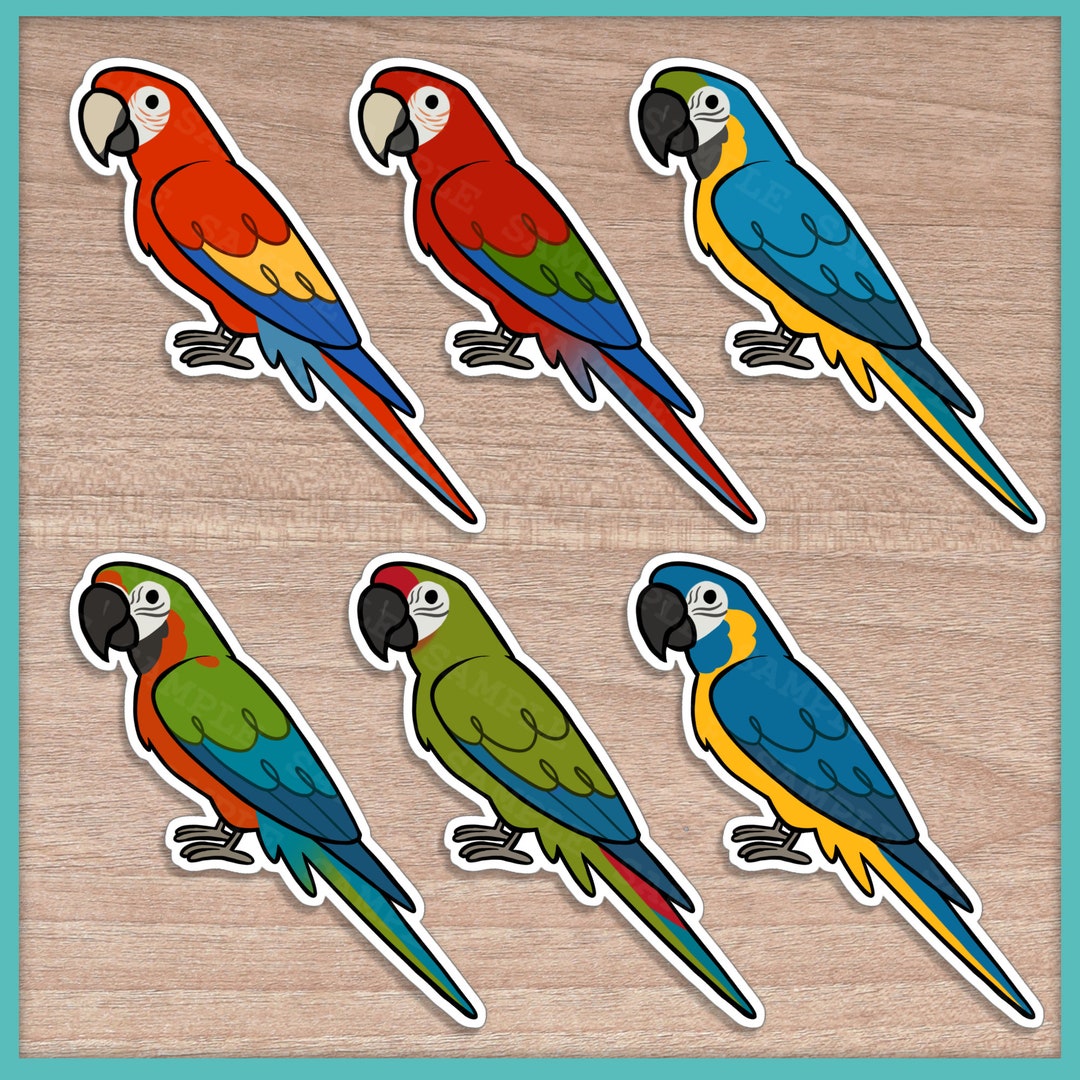 Macaw (cuties) Stickers - Etsy