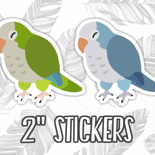 Quaker Parrot cuties Stickers - Etsy