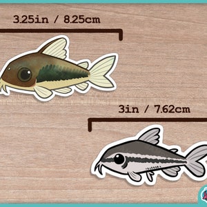 Corydoras Catfish Cuties Stickers - Etsy
