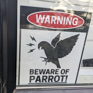 Beware of Parrot Posterboard Sign - Etsy