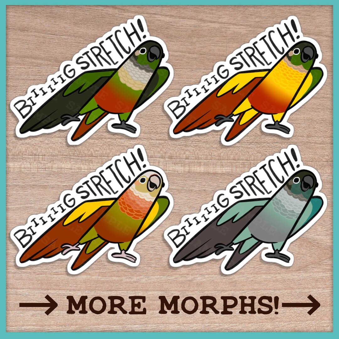 Conure pyrhurra Big Stretch Stickers - Etsy