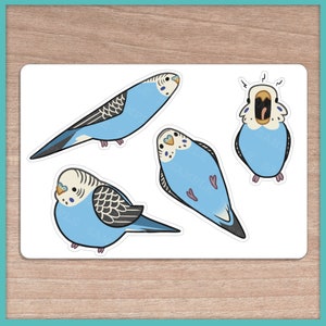 Silly Budgies (blue) Sticker Sheet - Etsy