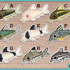 Corydoras Catfish Cuties Stickers - Etsy