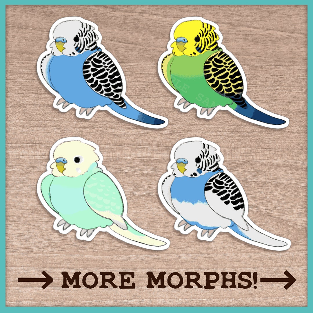 Budgie (budgerigar) Stickers - Etsy