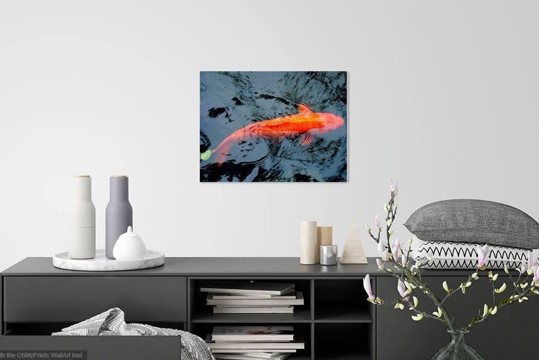 Photo of a Koi Fish in Tokyo, Japan - Digital Download. - Etsy