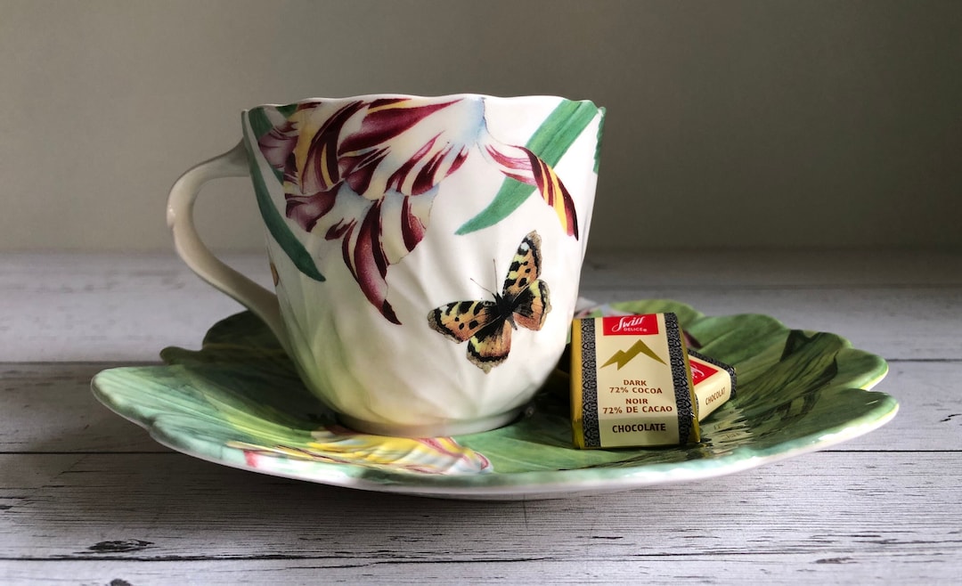 Spode Tea Cup and Saucer Floral Haven Tulips Butterflies - Etsy