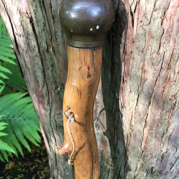 Irish Walking Stick - Etsy