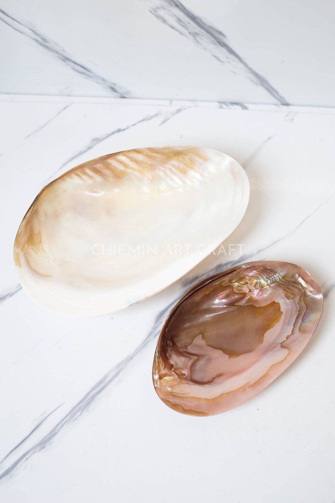 Mother of Pearl Medium Seashell Plate,fruit Plate Tabletop, Natural ...