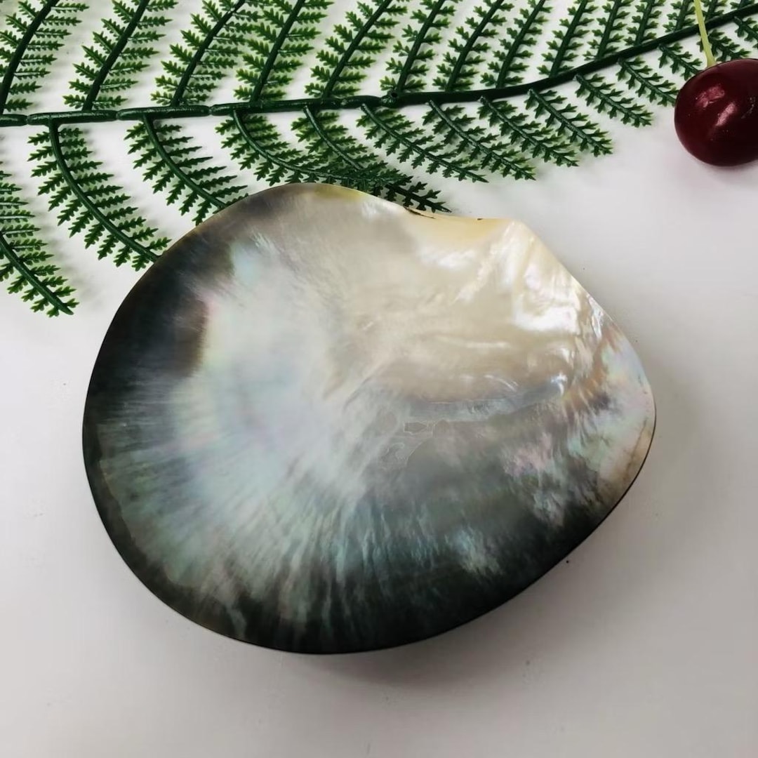 Mother of Pearl Seashell Dish for Caviar Serving, Caviar Plate Tabletop ...