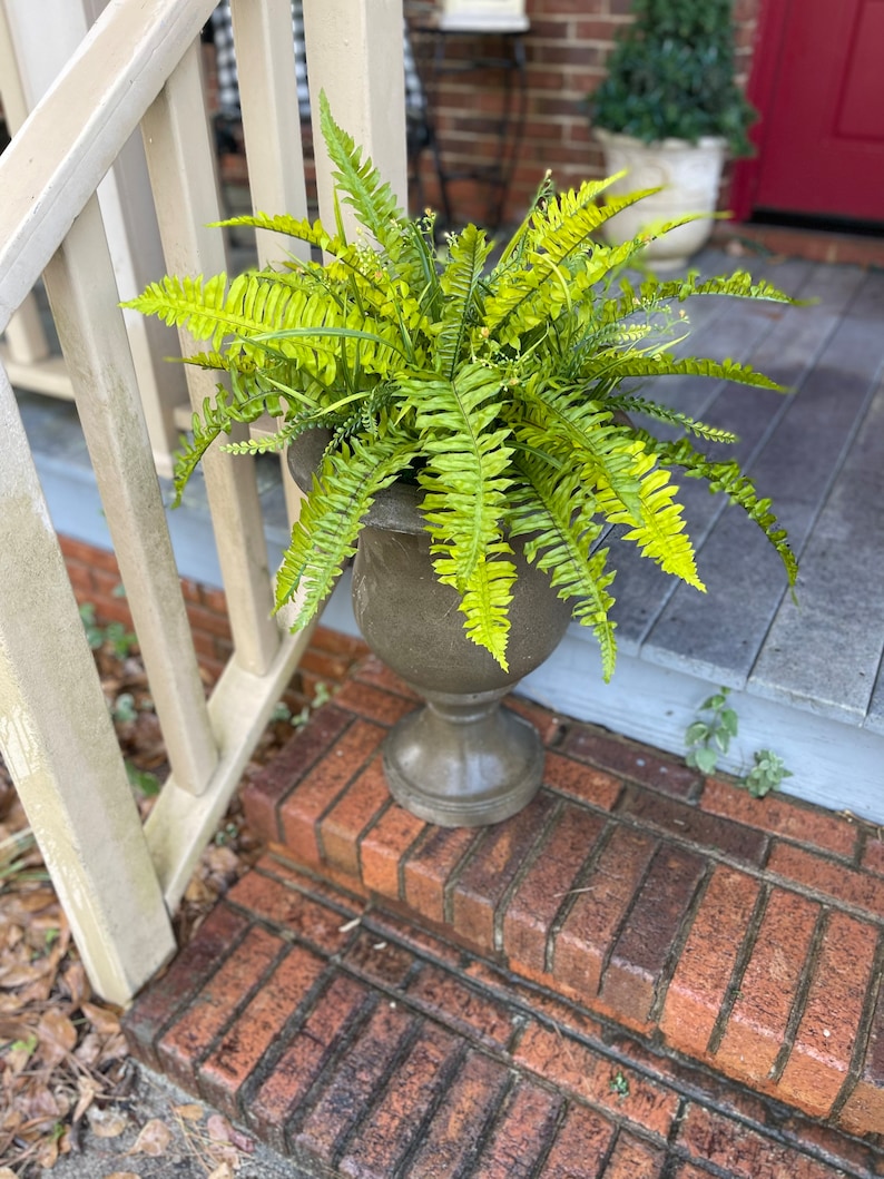 Urn Filler for Spring Faux Fern Plant Boston Fern Spring - Etsy Urn Filler for Spring Faux Fern Plant Boston Fern Spring - Etsy