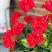 Red Geranium Urn Filler, Artificial Flowers for Outdoors, Faux Geranium ...