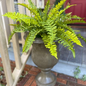 Urn Filler for Spring, Faux Fern Plant, Boston Fern, Spring Front Porch ...