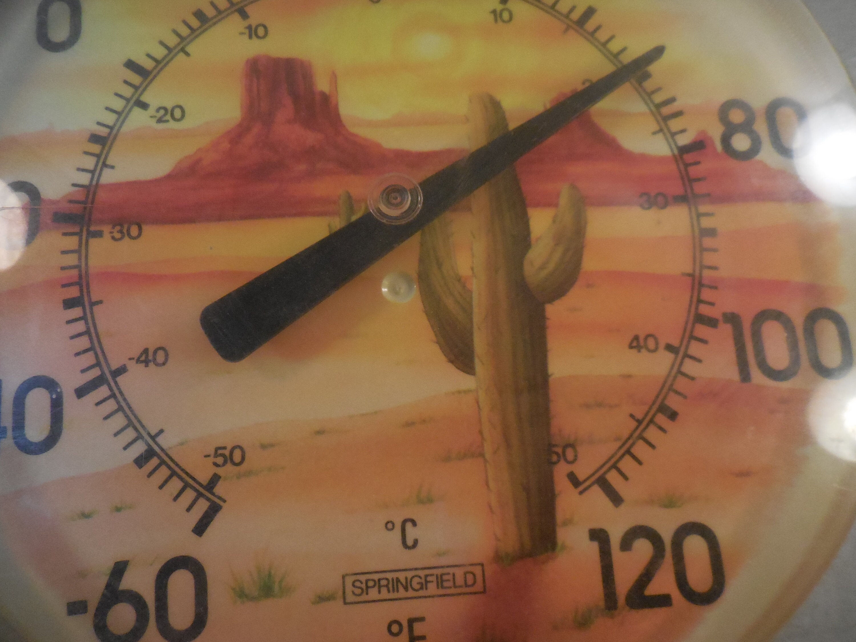 1970's Springfield Indoor Outdoor Thermometer With Saguaro - Etsy