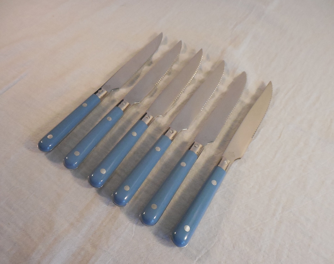 Lifetime Paris Splendor LIGHT BLUE Stainless Steak Knife Set of 6 A1 - Etsy