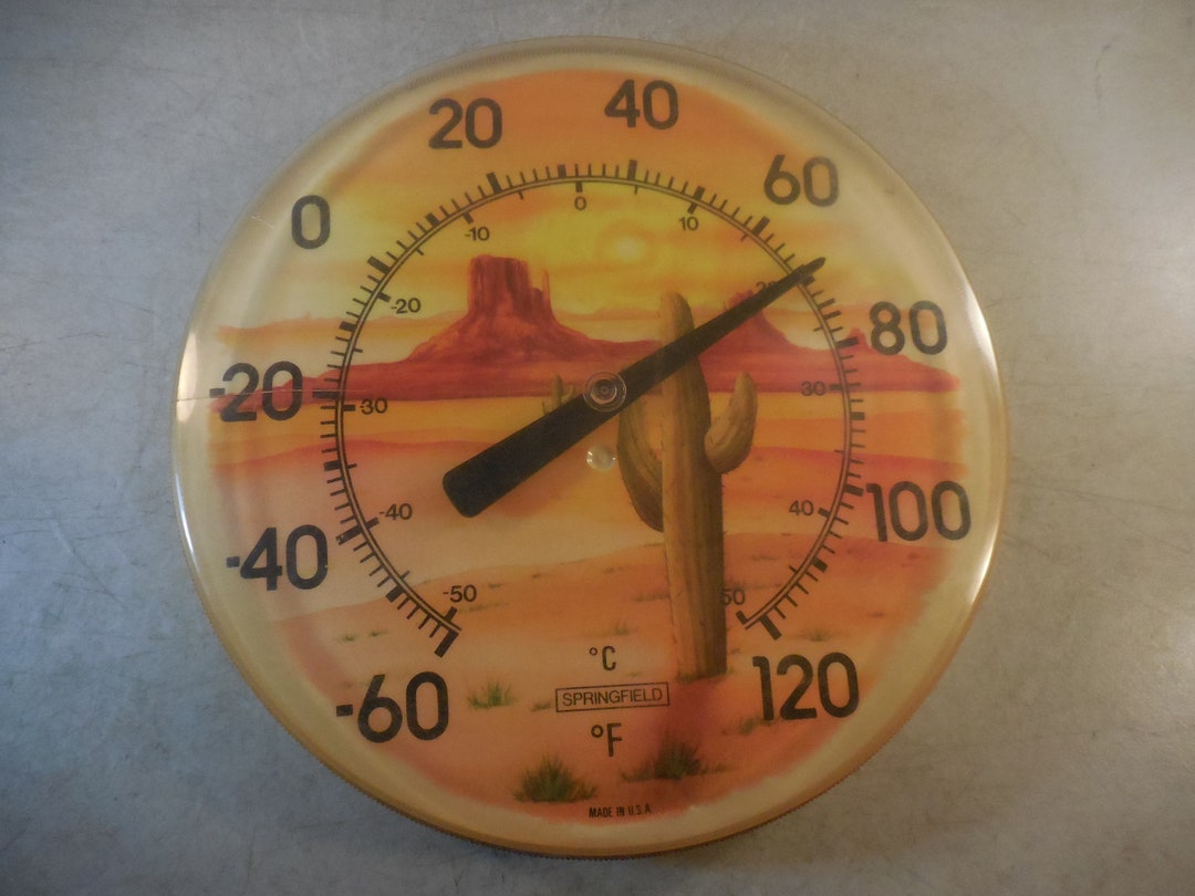 1970's Springfield Indoor Outdoor Thermometer With Saguaro - Etsy