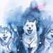 Sled Dogs Original Hand Painted Watercolor Painting Siberian Husky Mush ...