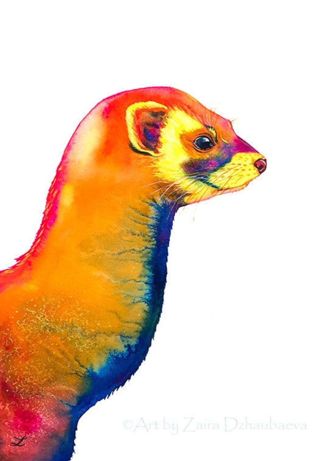 Polecat Colorful Wall Art Print Wildlife Animals Ferret Woods Wild ...