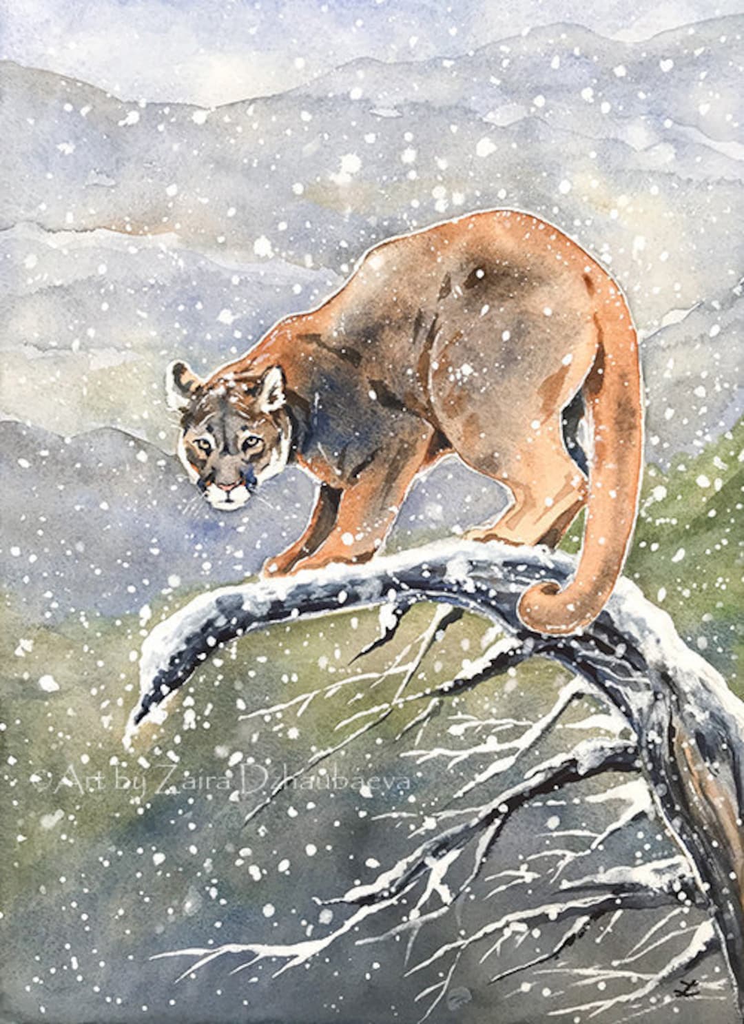 Cougar Wall Art Print Puma Watercolor Painting Big Cats - Etsy
