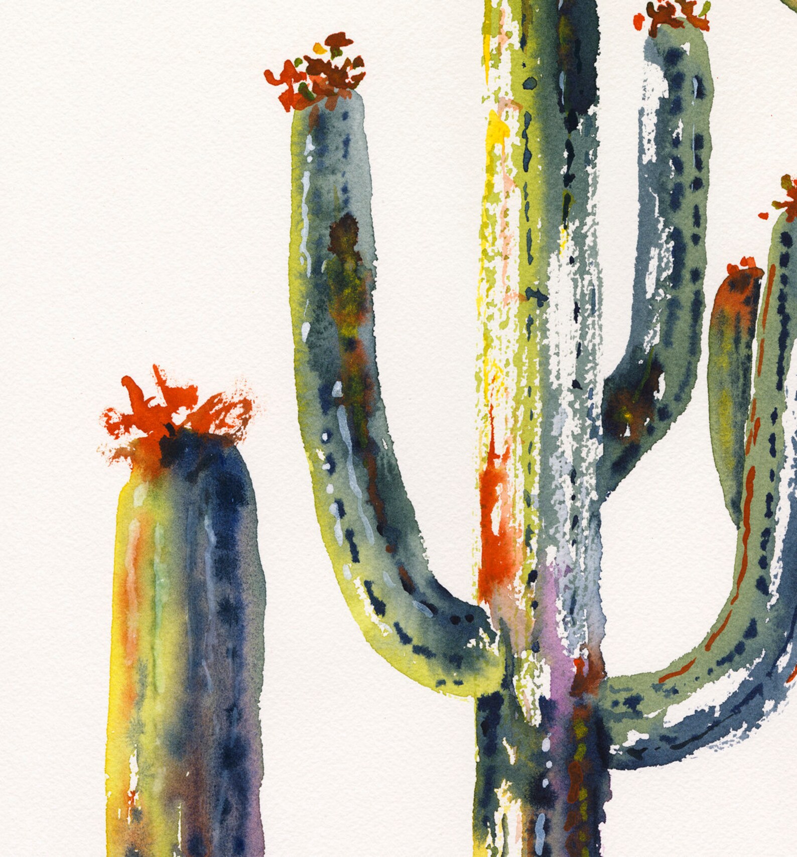 Saguaro Cactuses Original Watercolor Painting Hand Painted Colorful ...
