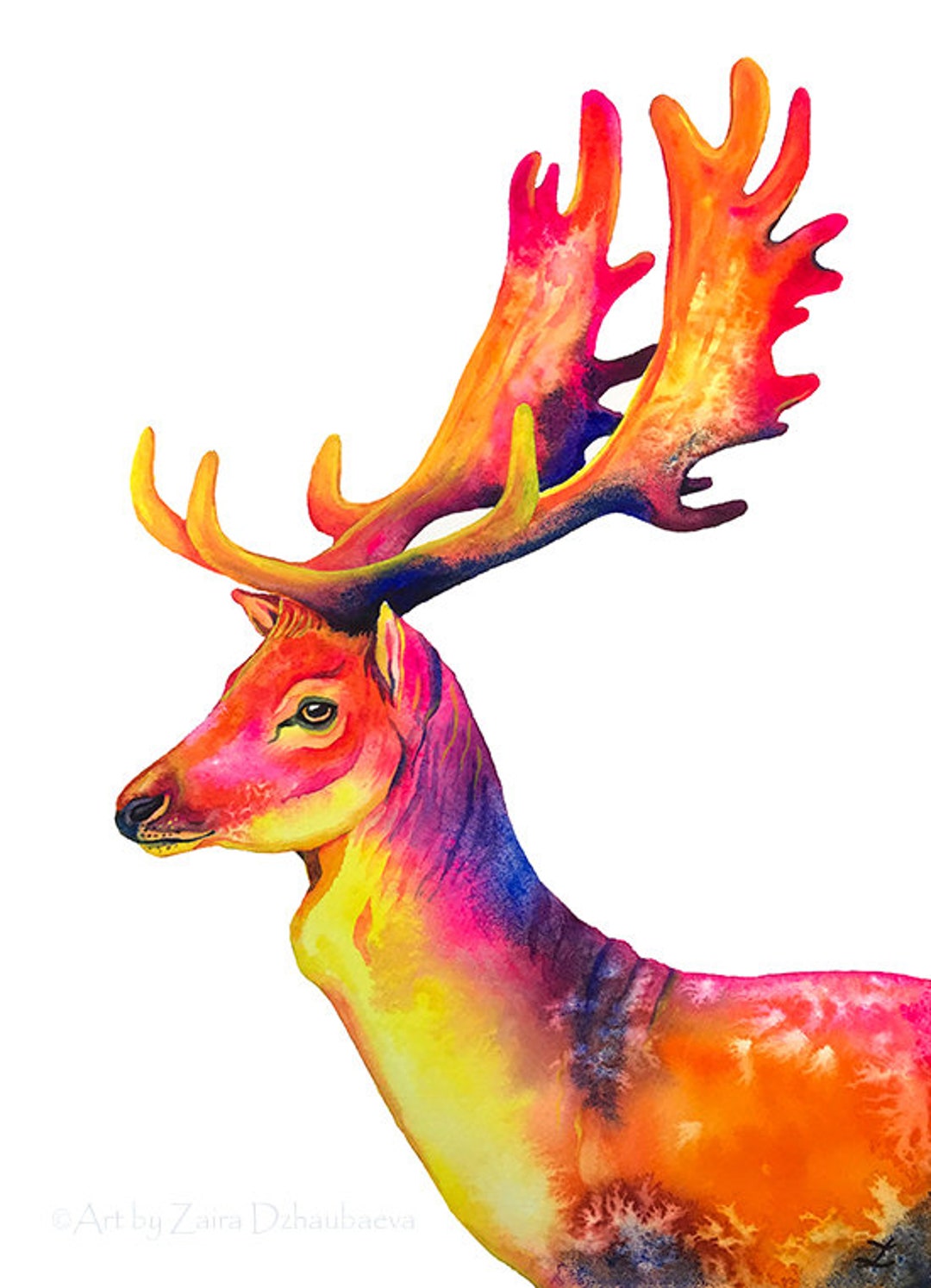 Fallow Deer Wall Art Print Stag Watercolor Painting Colorful Deer Buck ...