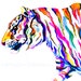 Rainbow Tiger Art Print Colorful Walking Watercolor Painting Stripes ...