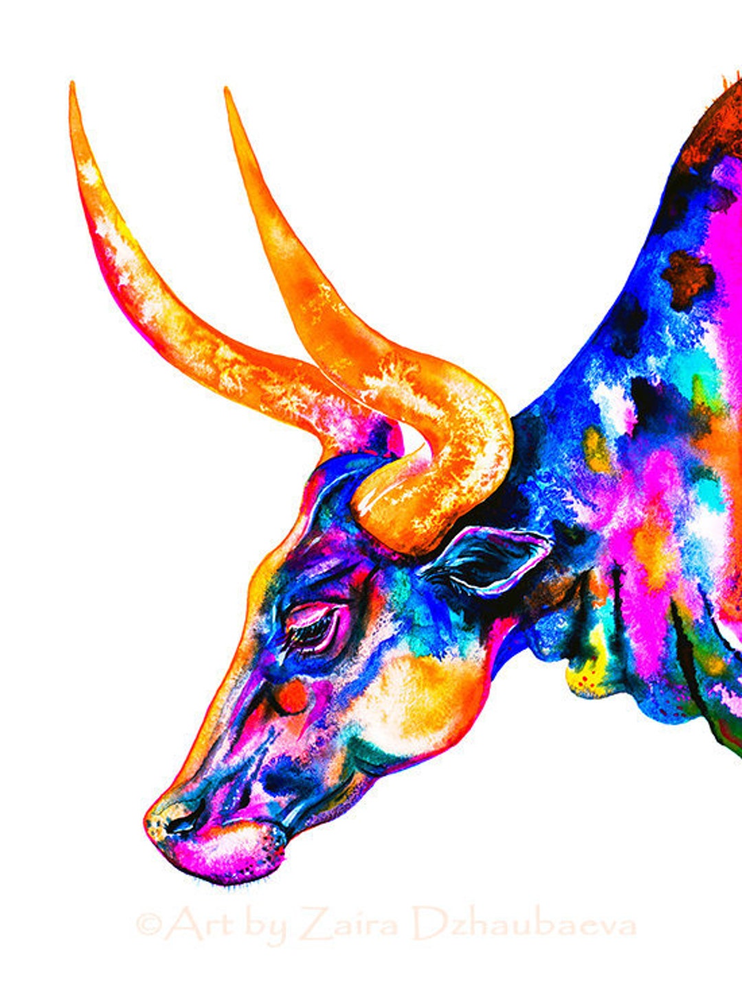 Colorful Rainbow Ankole Longhorn Cow Wall Art Print Ankole-watusi Cows ...