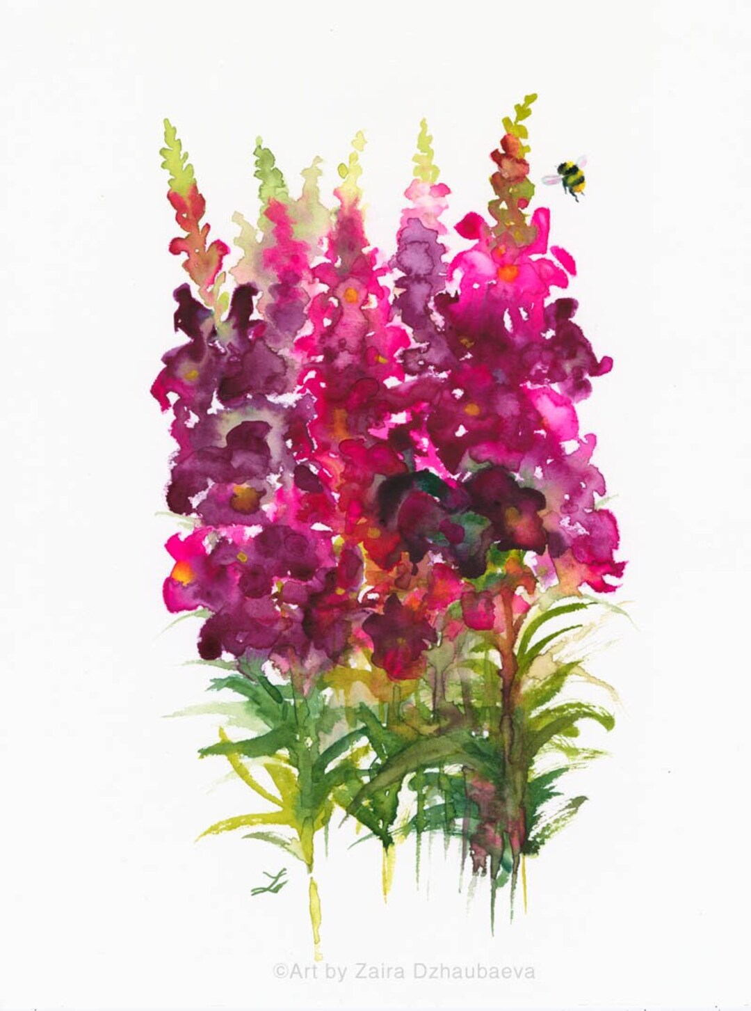 Snapdragons and Bumblebee Original Watercolor Painting Burgundy Flowers ...