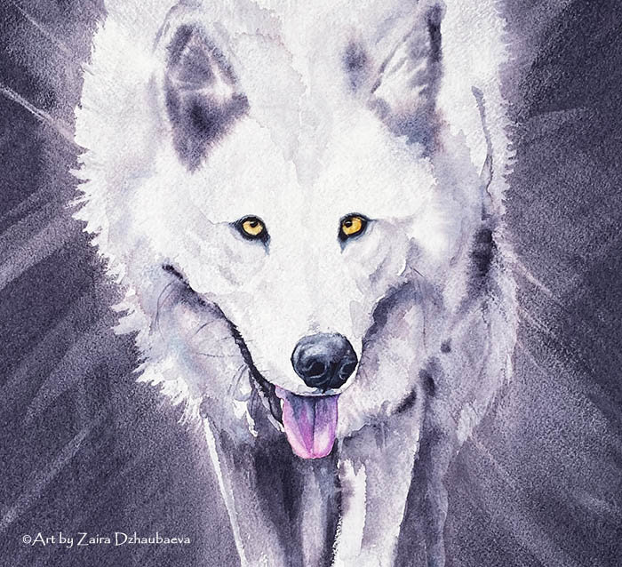 White Wolf Original Watercolor Painting Wildlife Wolf Wall Art - Etsy