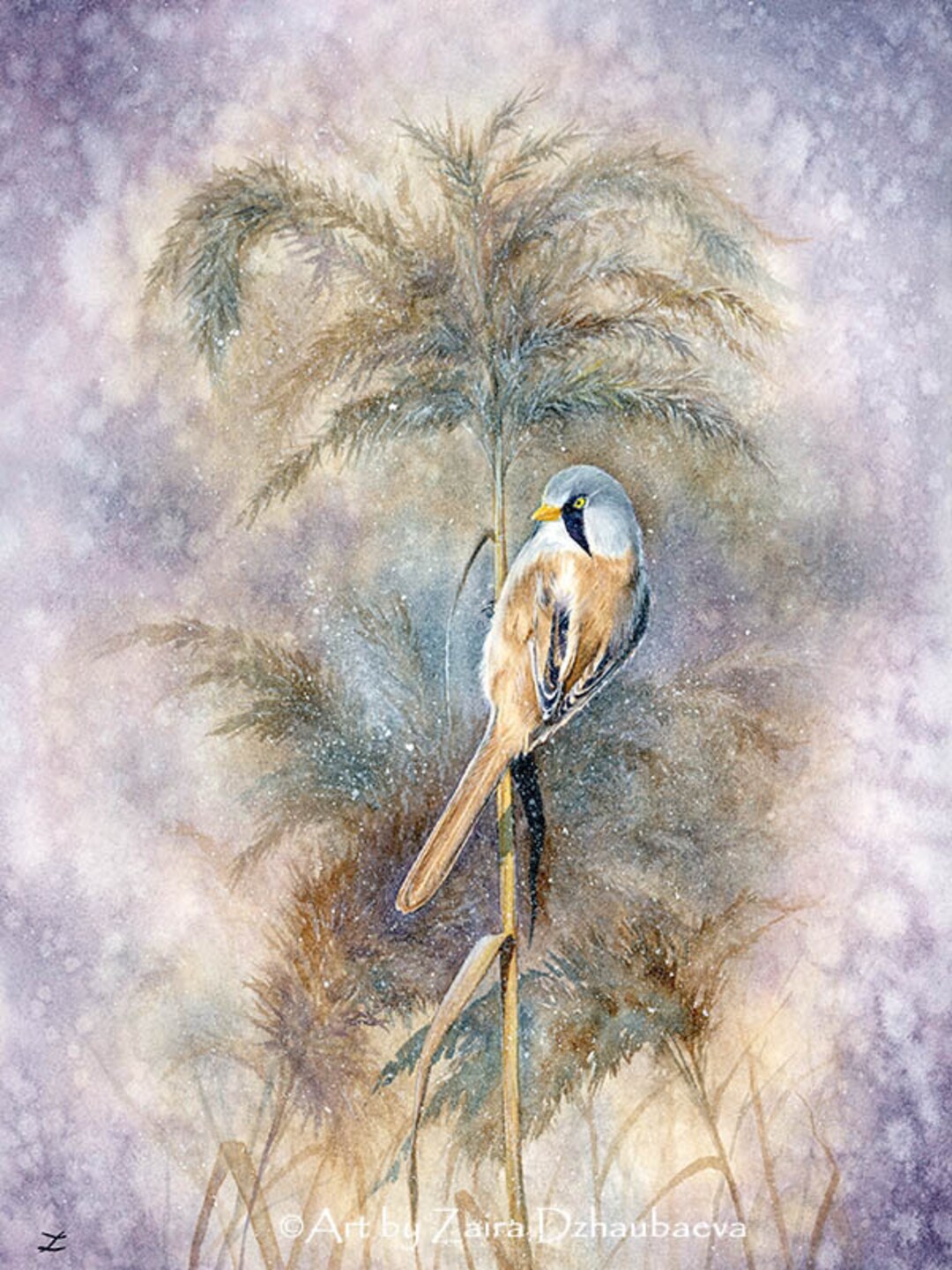 Bearded Reedling Wall Art Print Bird Reeds Watercolor Birds Wildlife ...