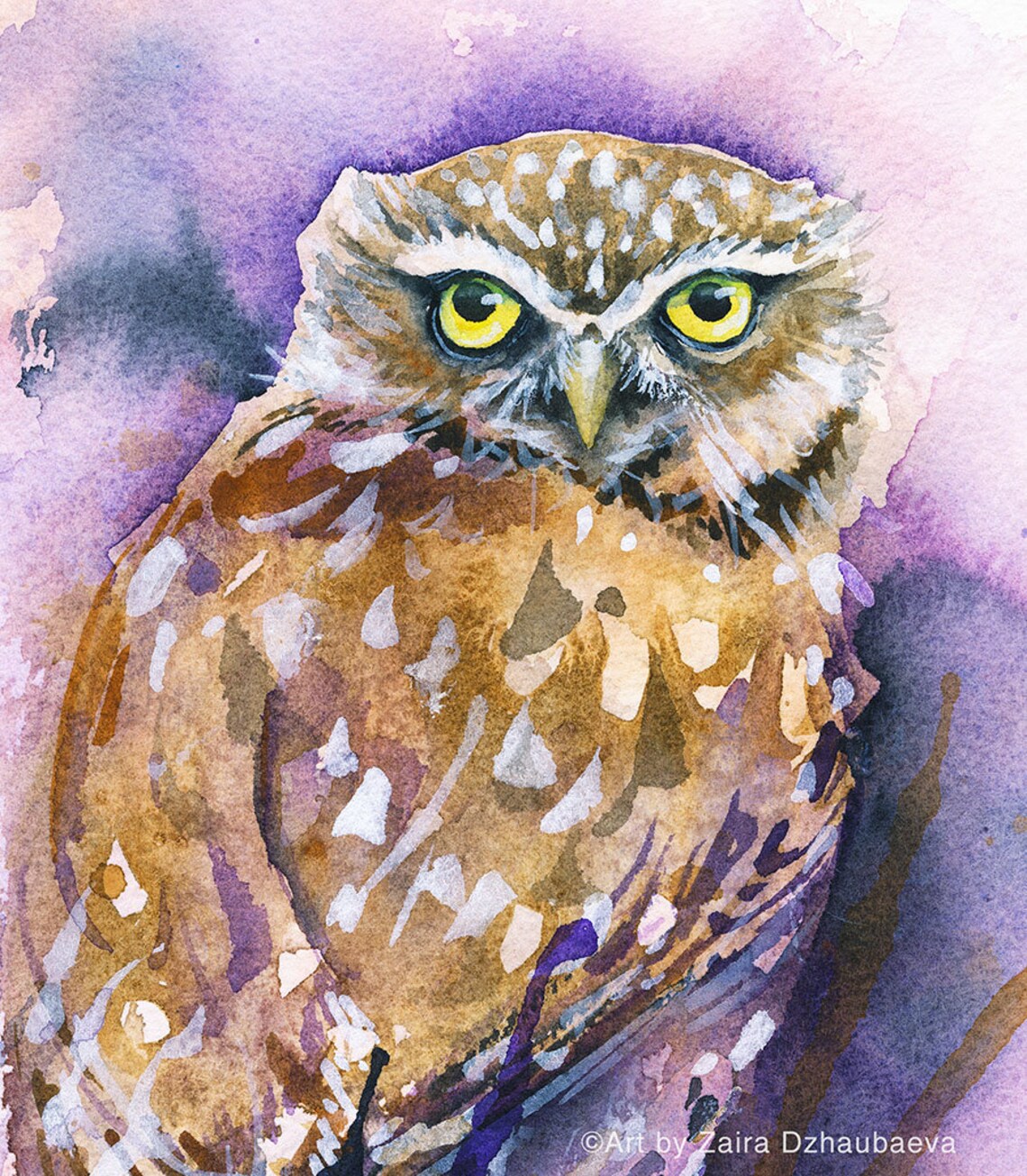 Burrowing Owl Original Watercolor Painting Birds of Prey Athene ...