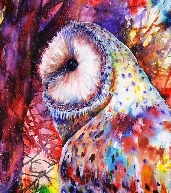 Colorful Owl Art