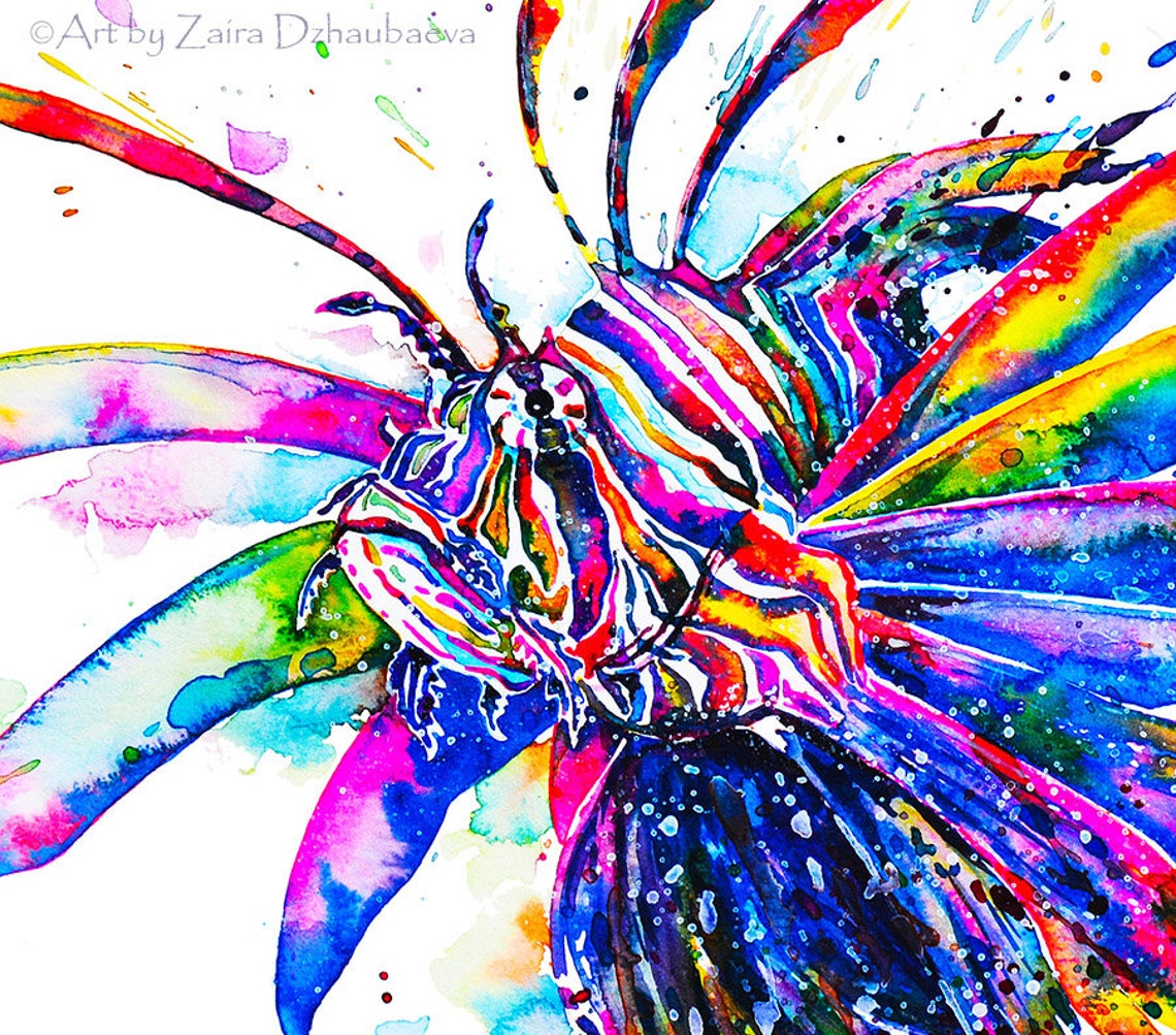Rainbow Lionfish Art Print Pterois Fish Zebrafish Venomous Marine Fish ...